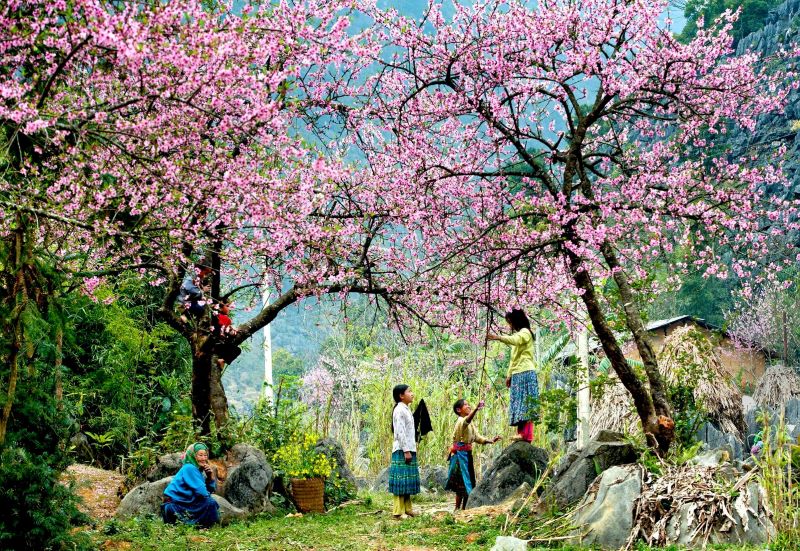 Ethnie Hmong : Harmonie entre nature et culture dans l'art de vivre
